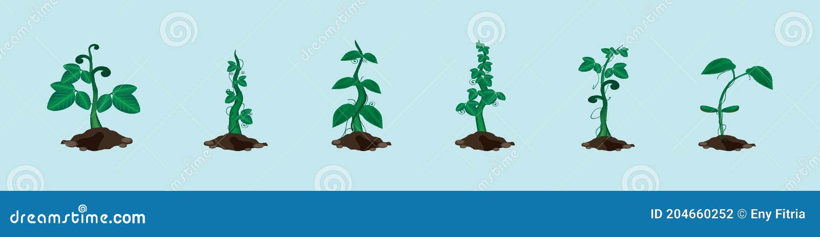 Set of Beanstalk Cartoon Icon Design Template with Various Models ...