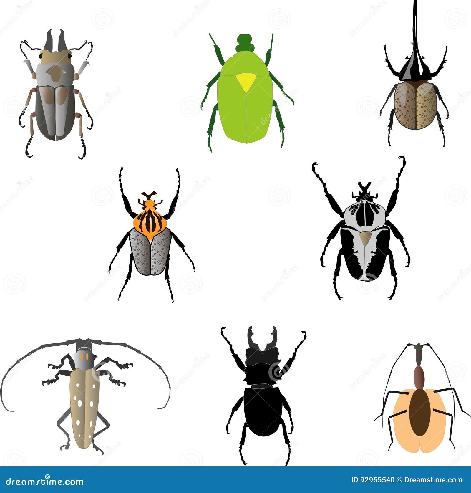 Set Of Beatles Insects. Vector Illustration | CartoonDealer.com #92955540