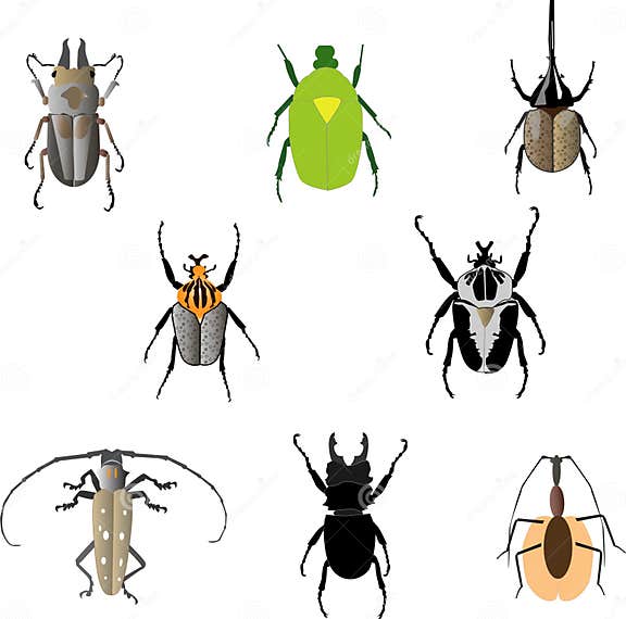 Set of beatles insects. stock vector. Illustration of insects - 92955540