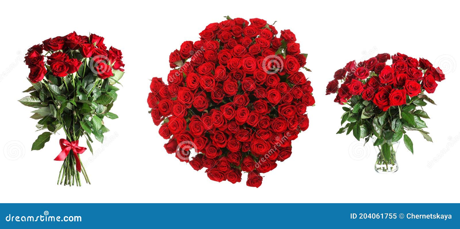 Set with Beautiful Bouquets of Red Roses on White Background, Banner ...