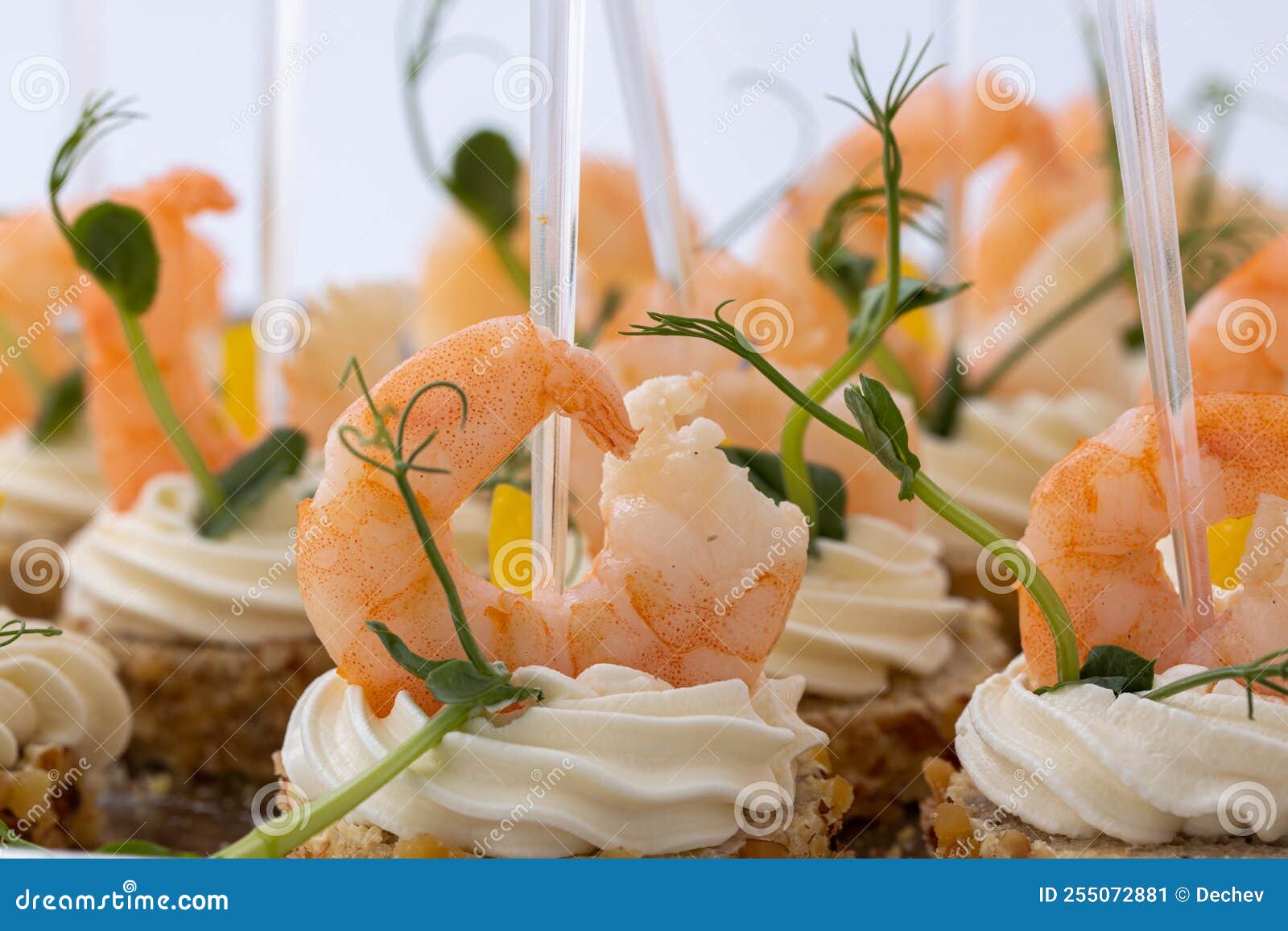 Set of Beautiful Canapes. Appetizer Canape with Shrimp. Catering Stock ...