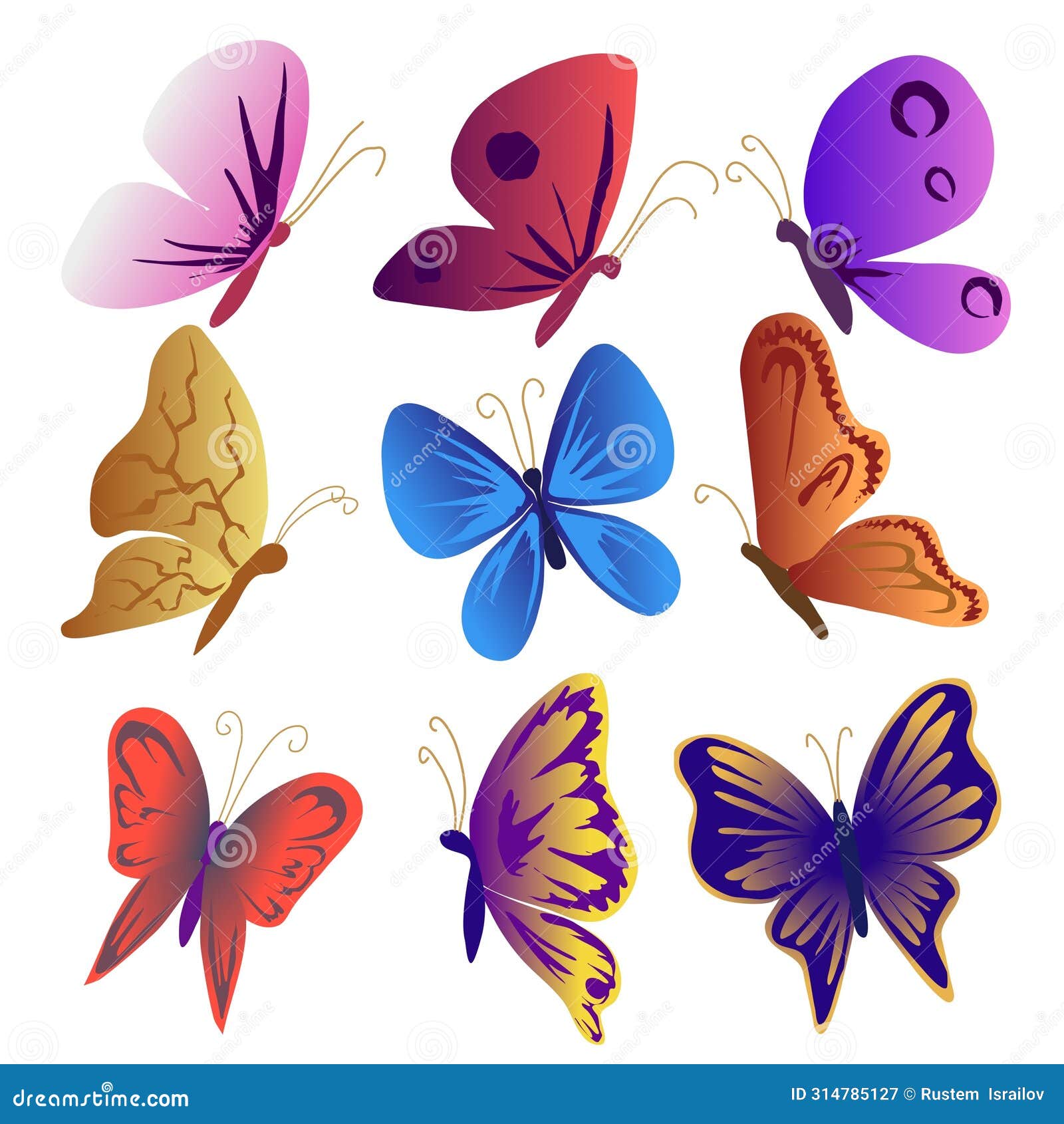 Set of Beautiful Colored Butterflies of Different Shapes Vector ...
