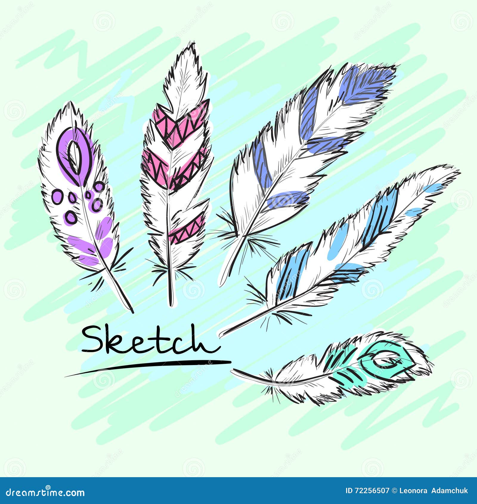 Set of Beautiful Colored Feather. Sketch Feathers. Vector Stock Vector ...