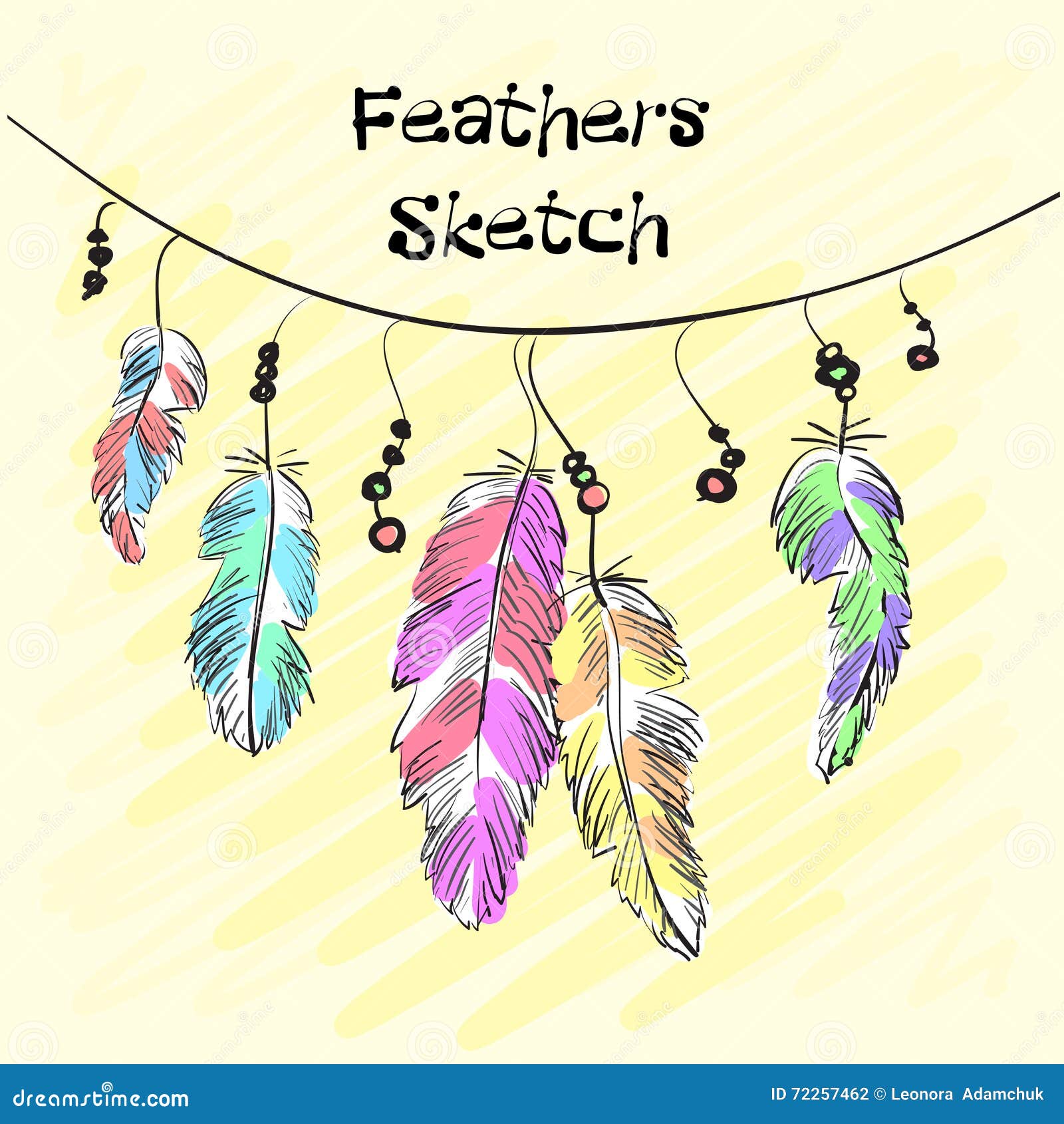 Set of Beautiful Colored Feather. Sketch Feathers. Vector Stock Vector ...