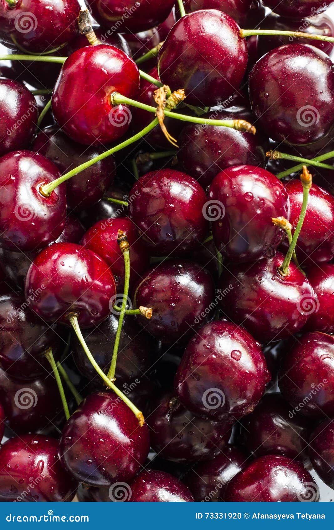 Set of Beautiful Red Cherry Stock Photo - Image of vegetarian ...