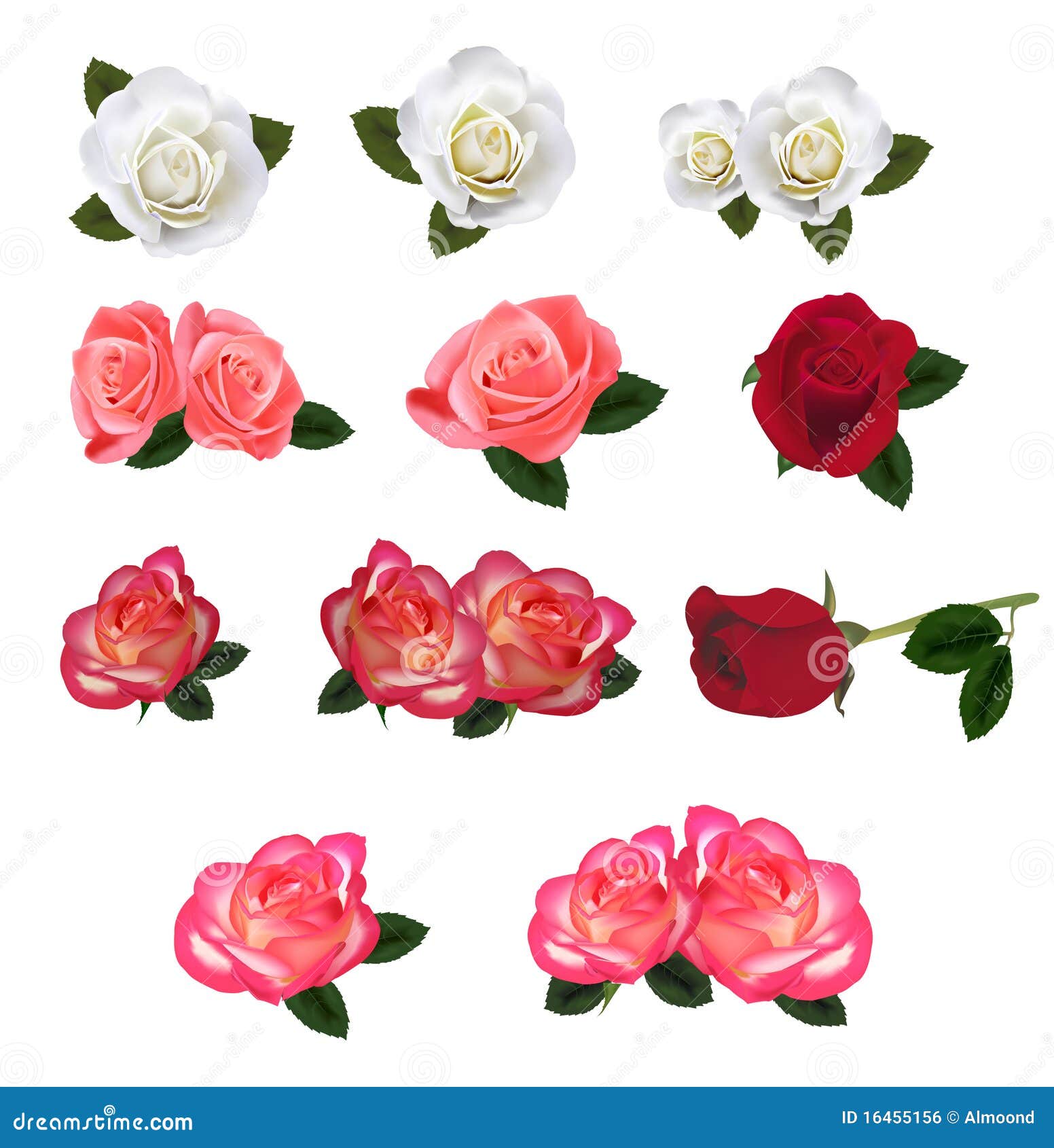 Set of a beautiful roses. stock vector. Illustration of decorative ...