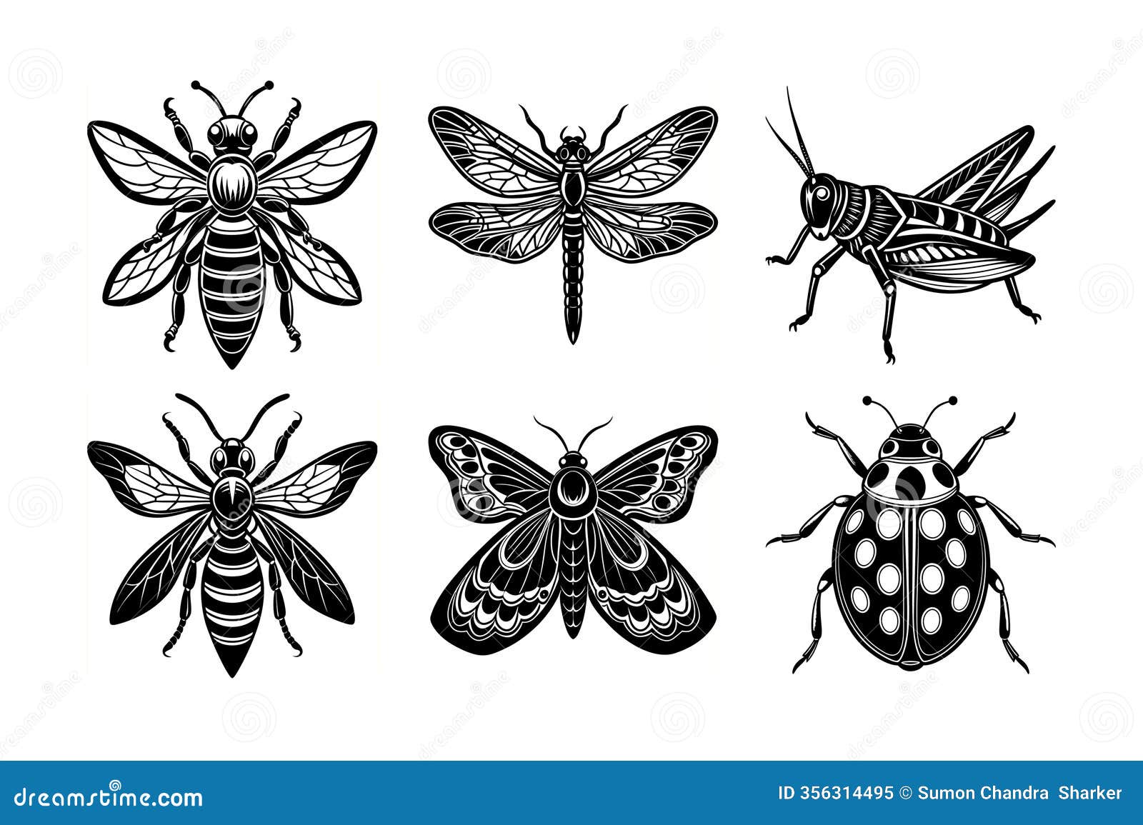 Set of Bee, Ladybug, Dragonfly, Grasshopper, Moth, and Wasp Silhouette ...
