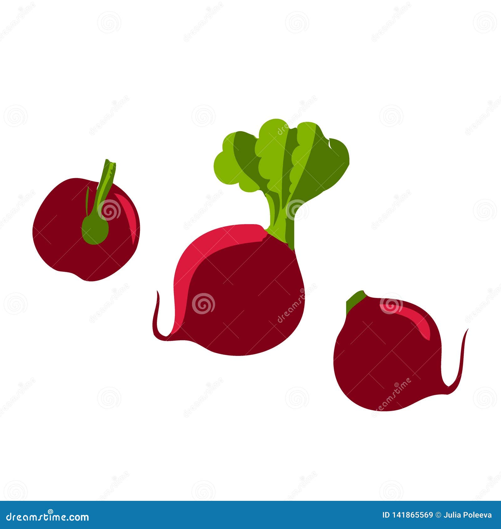 Set of Beets. Vector Illustration Isolated on White Background Stock ...