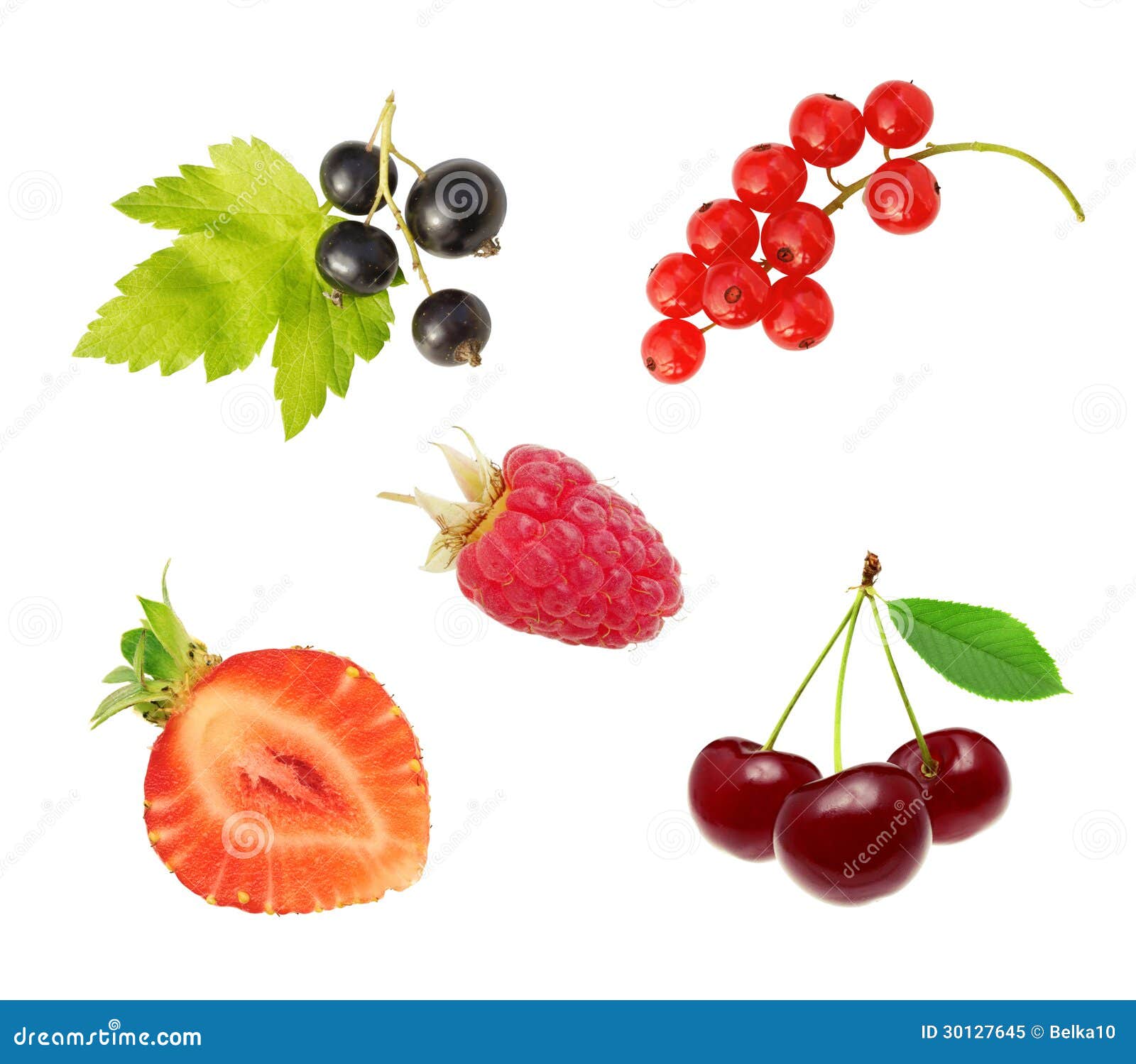 Set of berries stock image. Image of leaf, currant, diet - 30127645