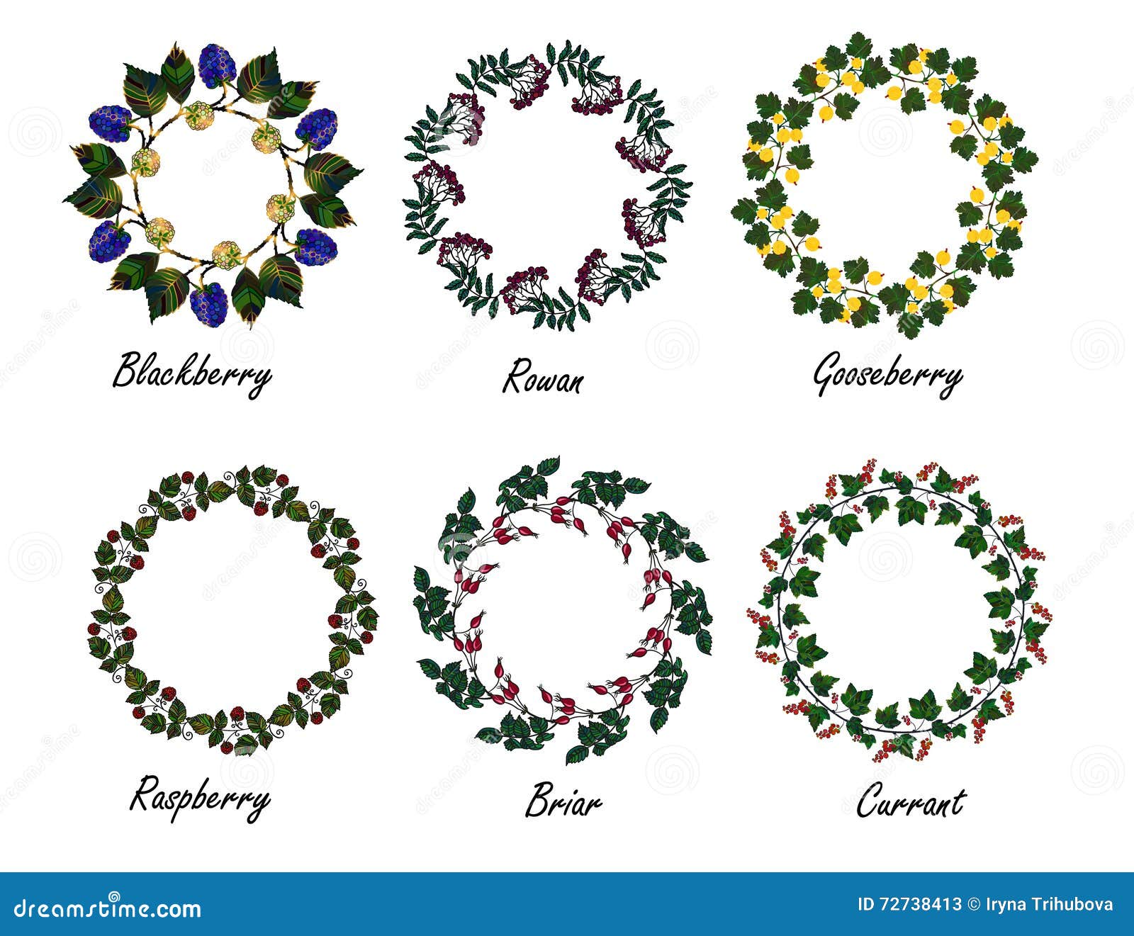 Set of Berry Frames - Wreath Stock Vector - Illustration of icon ...