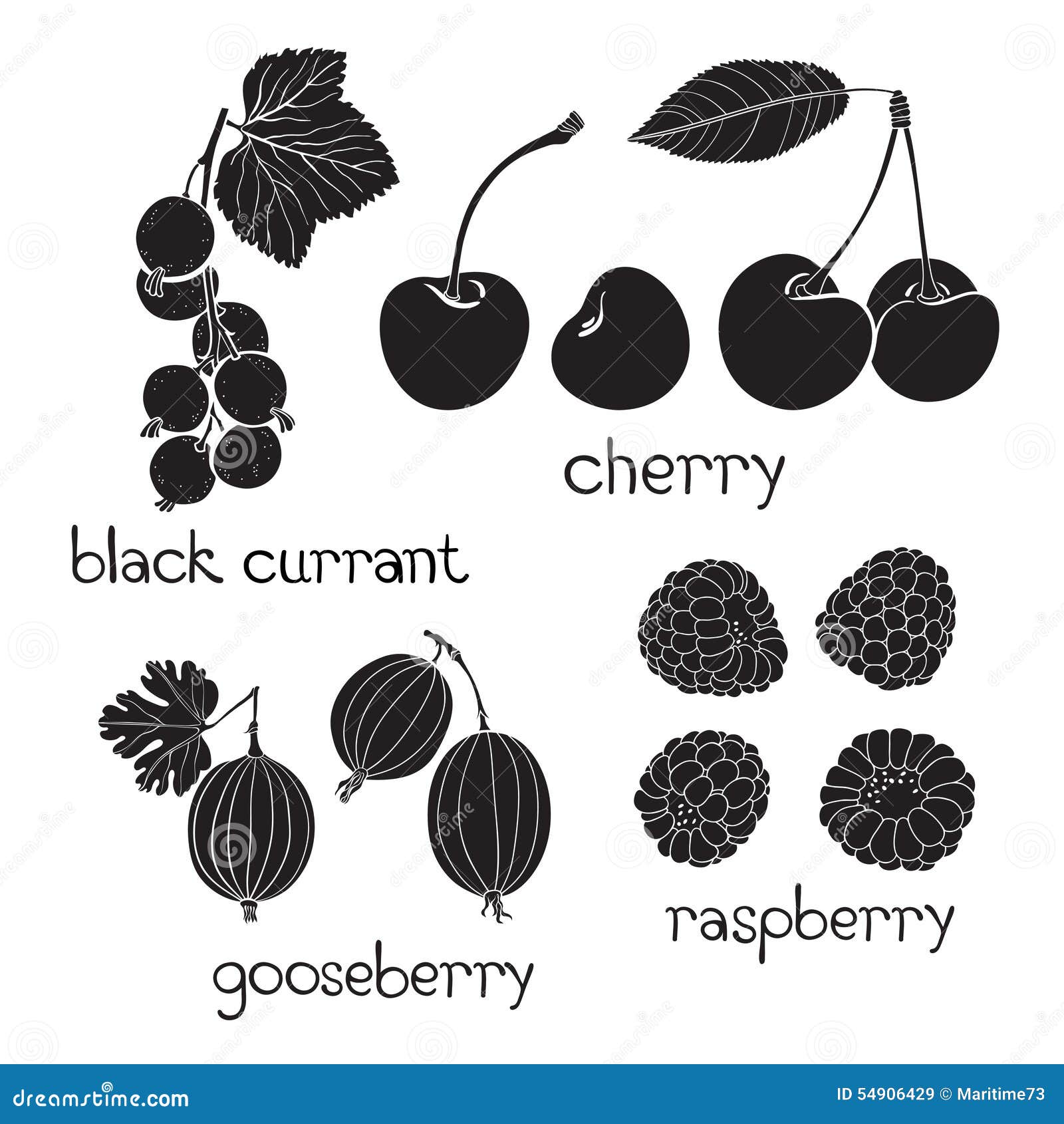 Set of Berry Silhouettes on a White Background. Raspberry, Goos Stock ...