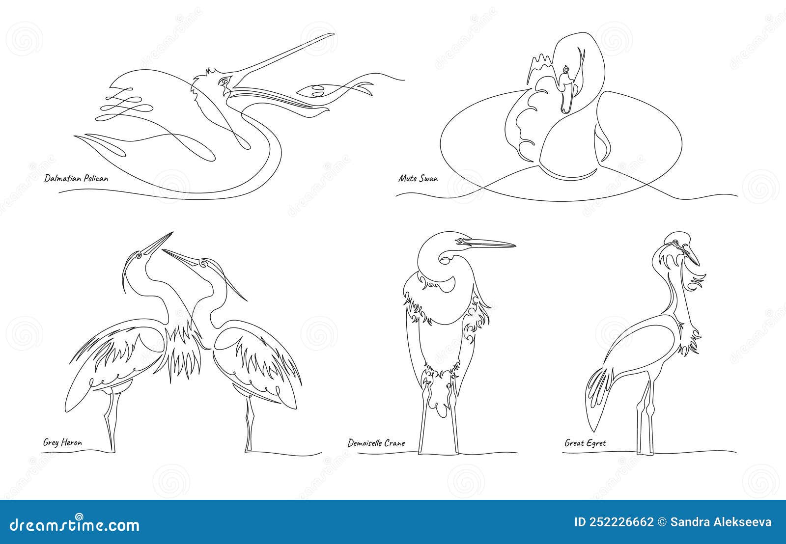 Set of Vector Illustrations of Big Water Birds Stock Vector ...