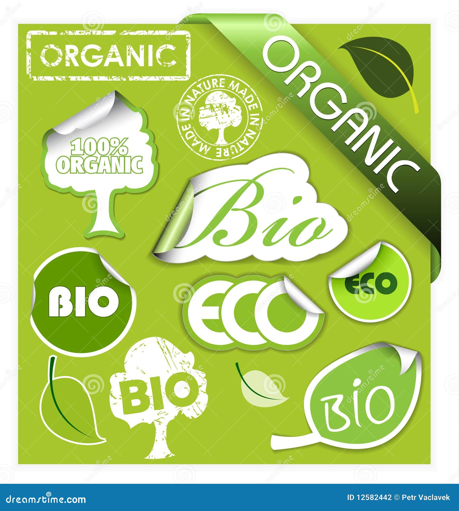 Set of Bio, Eco, Organic Elements Stock Vector - Illustration of leaf ...