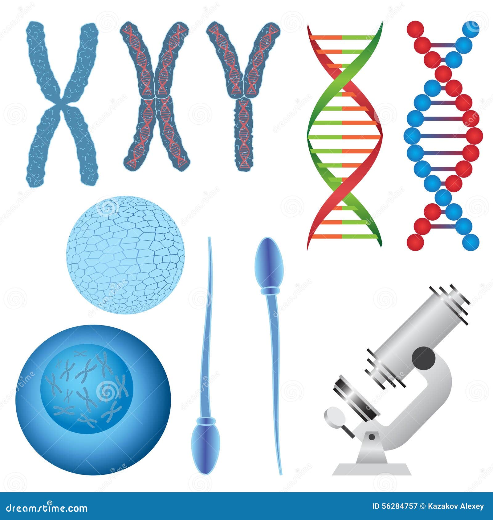 Set of biology objects. stock vector. Illustration of micro - 56284757
