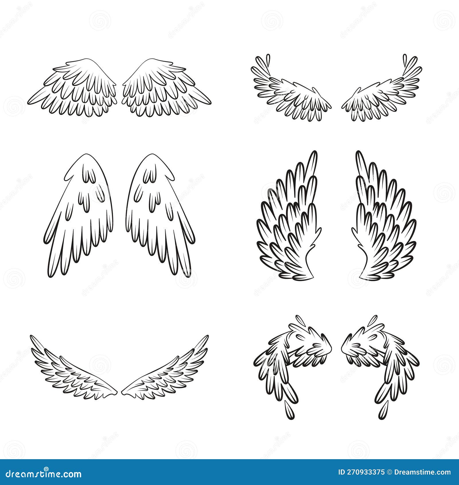 Set of Bird or Angel Wings of Different Shape in Open Position ...