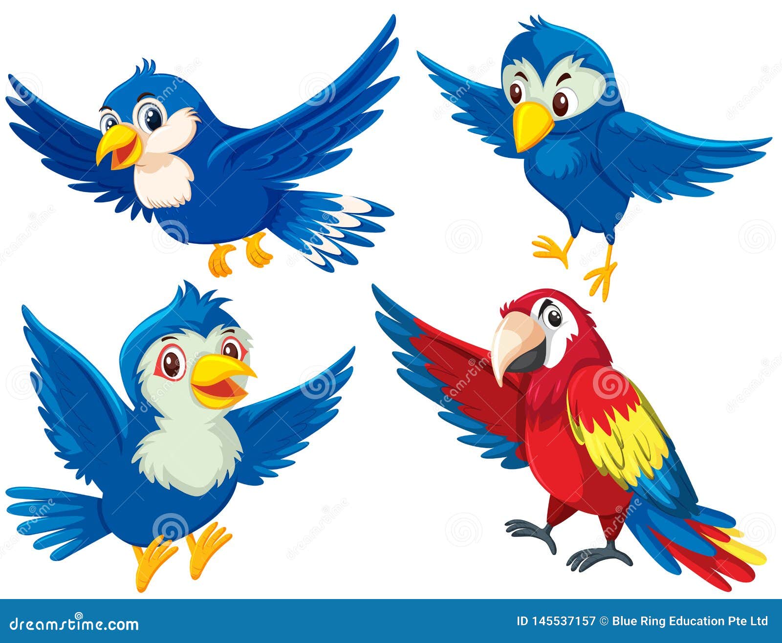 Set of bird character stock vector. Illustration of mascot - 145537157