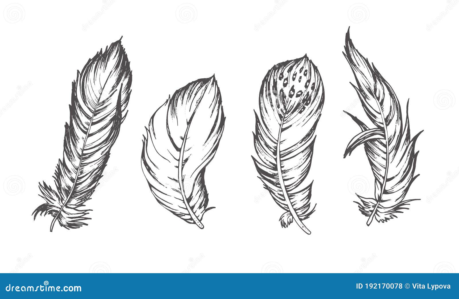 Set of Feathers, Graphics, Engraving Stock Vector - Illustration of ...
