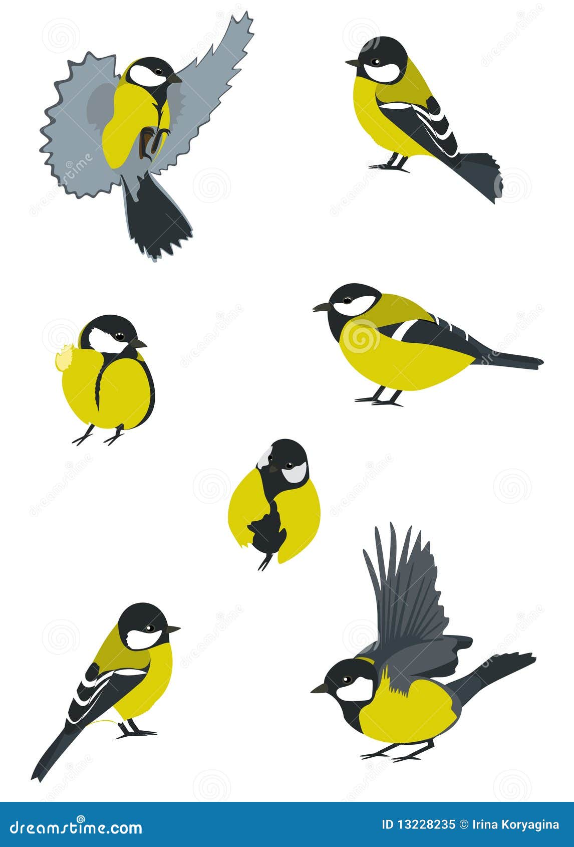 Set of Birds stock vector. Illustration of action, birds - 13228235