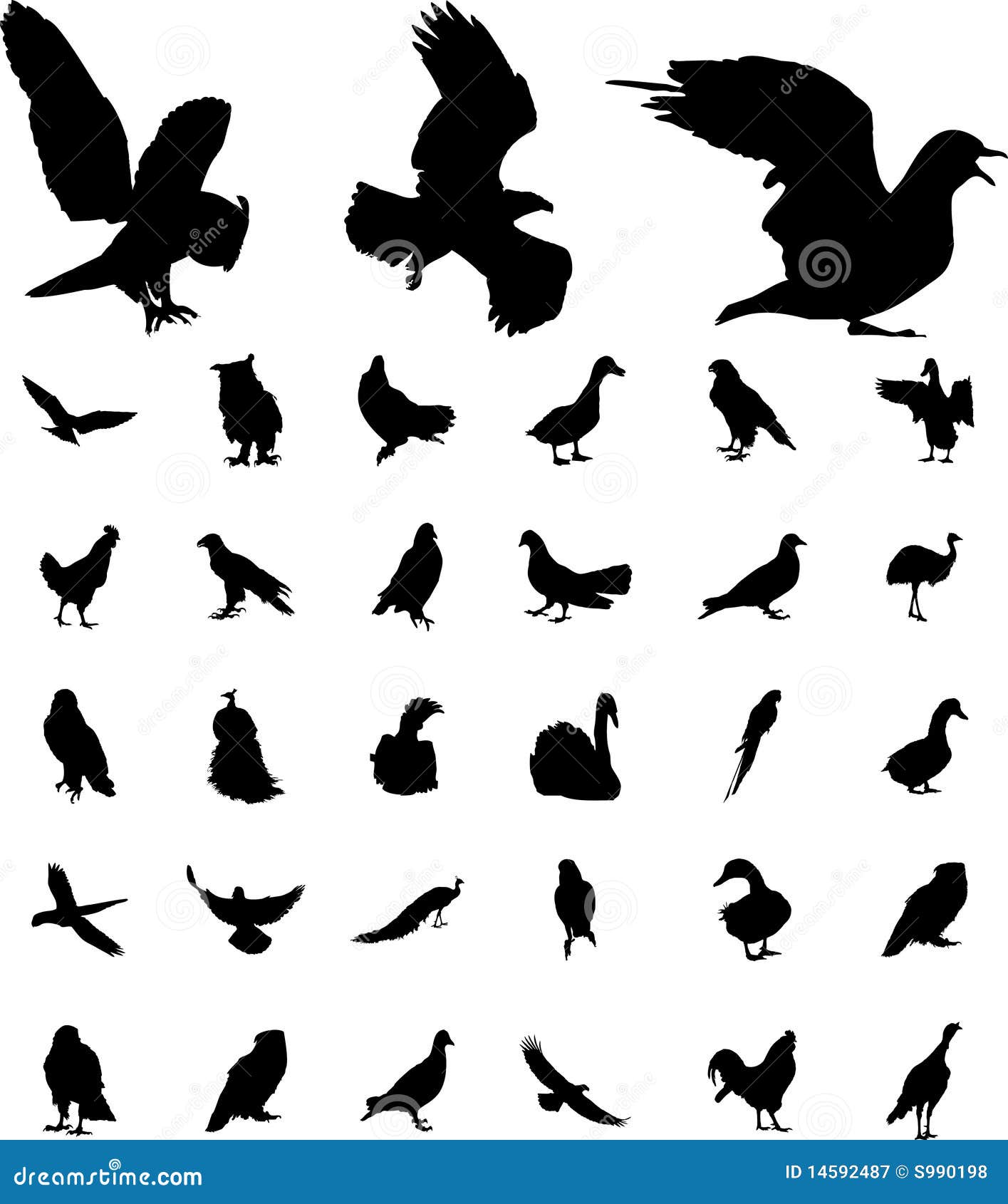 Set Birds stock illustration. Illustration of drawing - 14592487