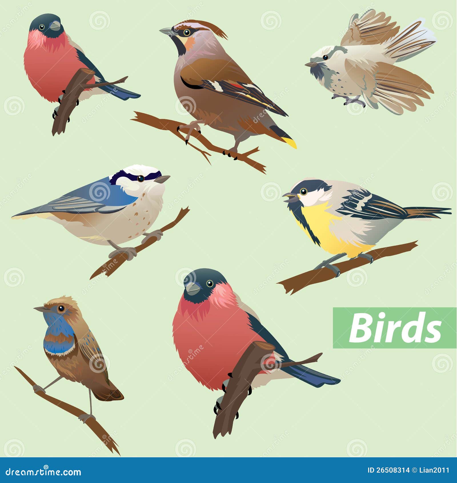 Set of birds stock vector. Illustration of beak, flying - 26508314