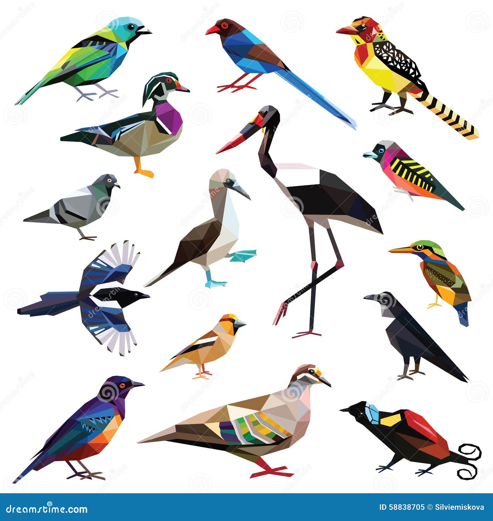 Set of birds stock vector. Illustration of collection - 58838705