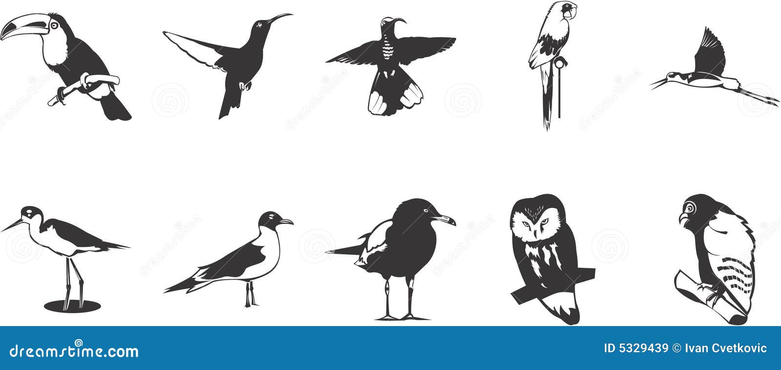 Set of birds icons stock illustration. Illustration of isolated - 5329439