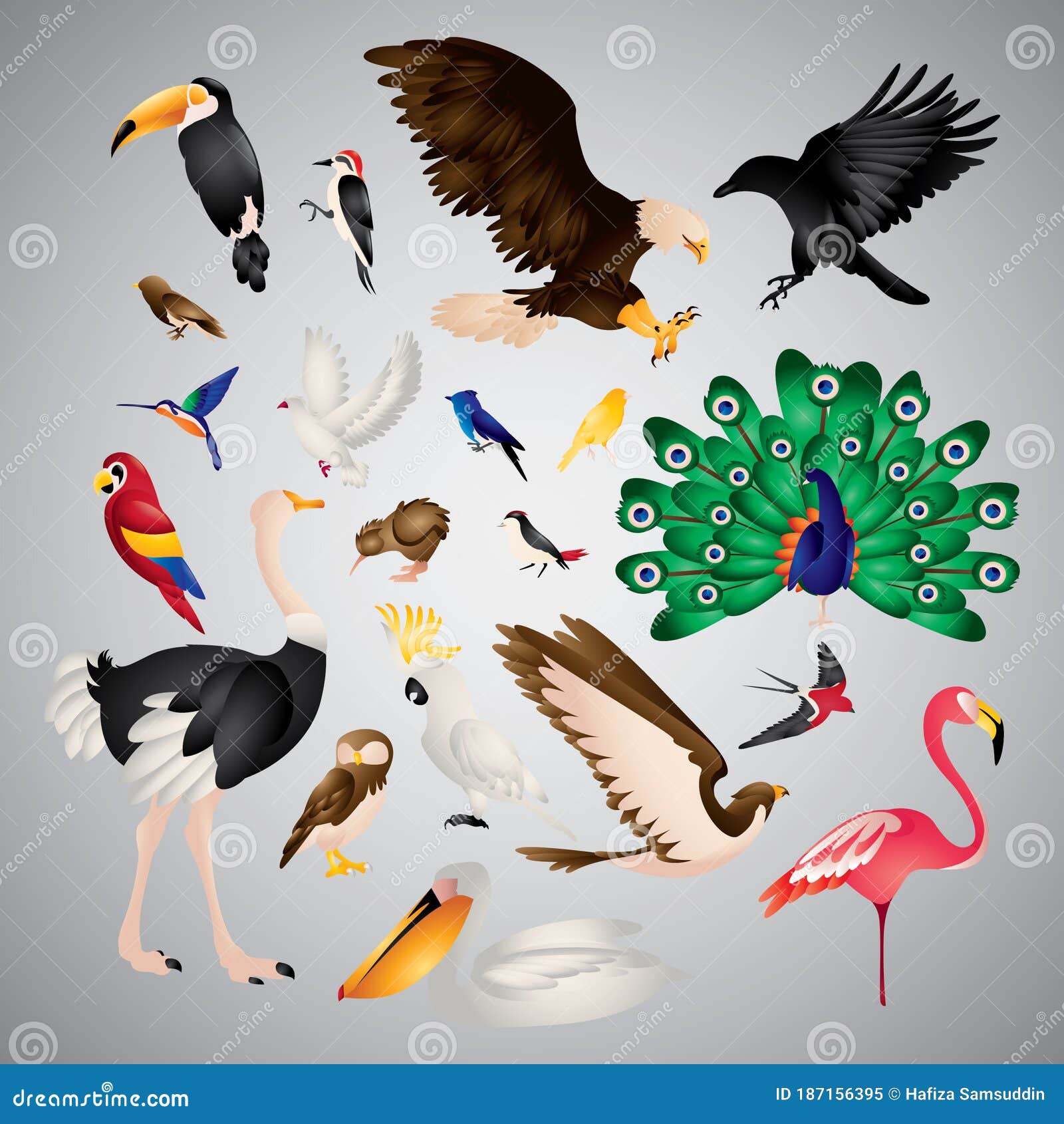 Tow Birds. Rufous-tailed Jacamar. Tropical Watercolor Illustration ...