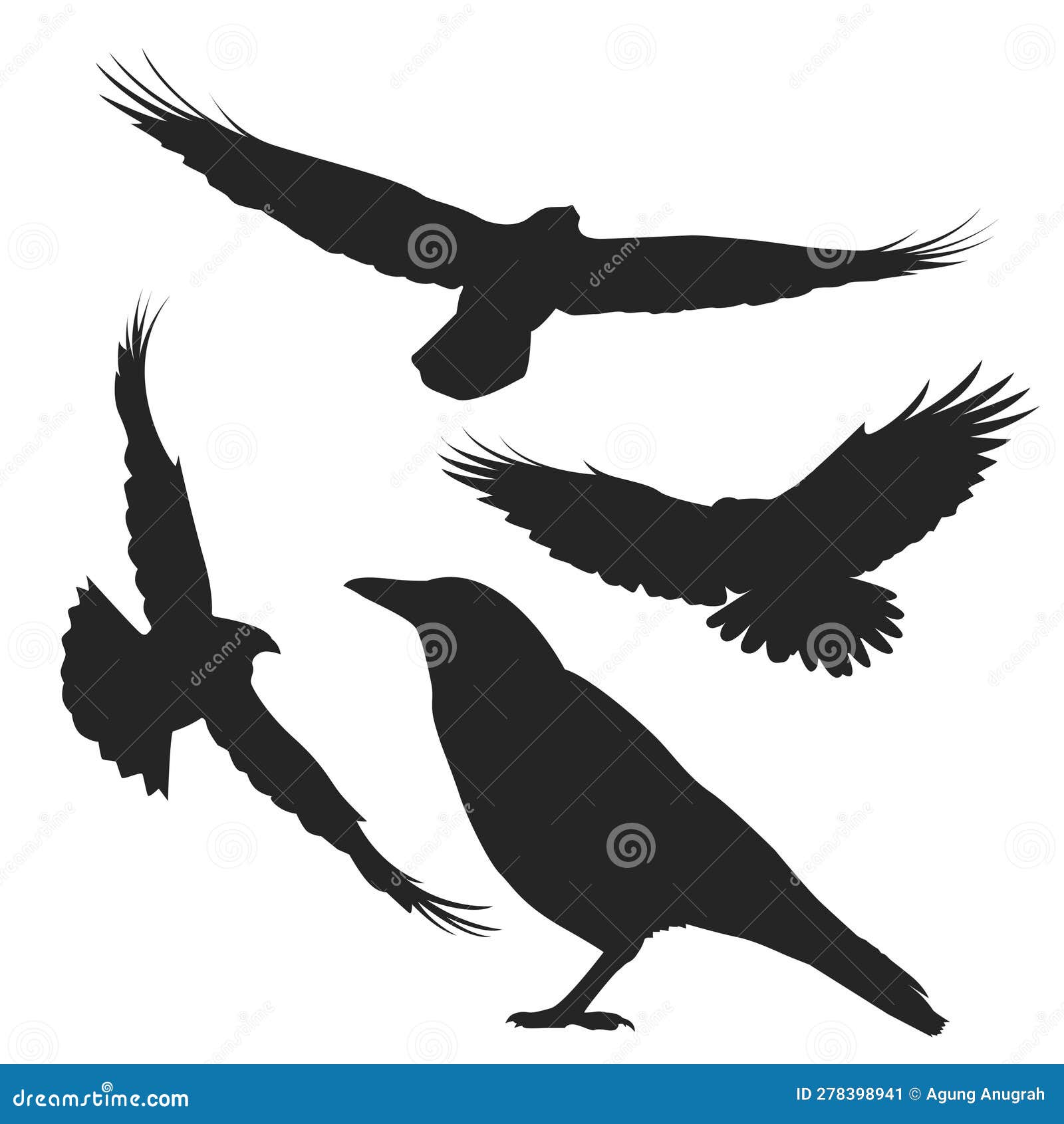 Set Of Silhouettes Of Crows Corvus Corax In Different Poses Stand ...