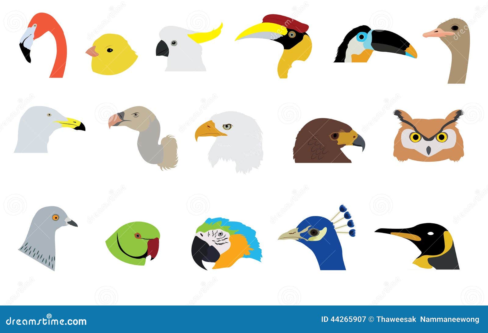 Set of Birds Vectors and Icons Stock Vector - Illustration of wildlife ...