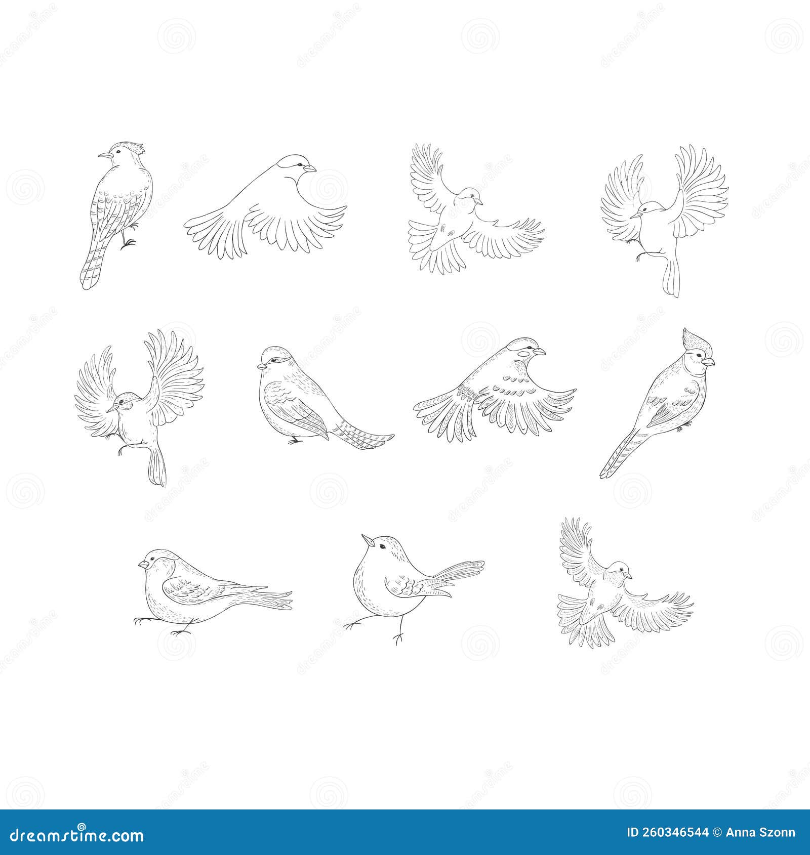 Set of Birds on the White Background. Vector Stock Vector ...