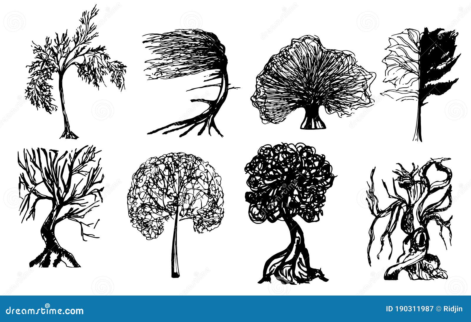 A Set of Black Line-style Trees. Stock Vector - Illustration of plant ...