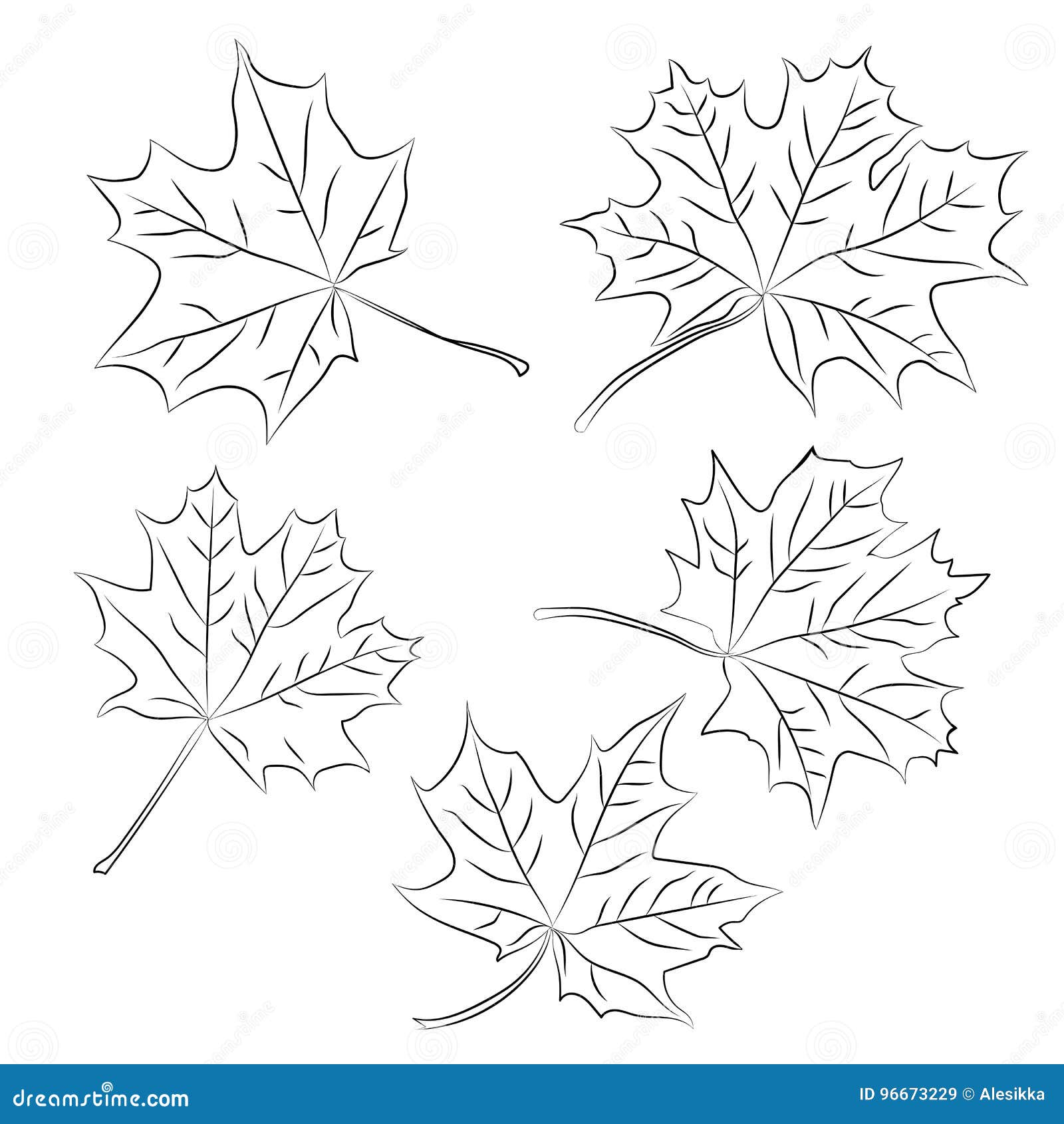 Set of Outline Maple Leaves Stock Illustration - Illustration of nature ...