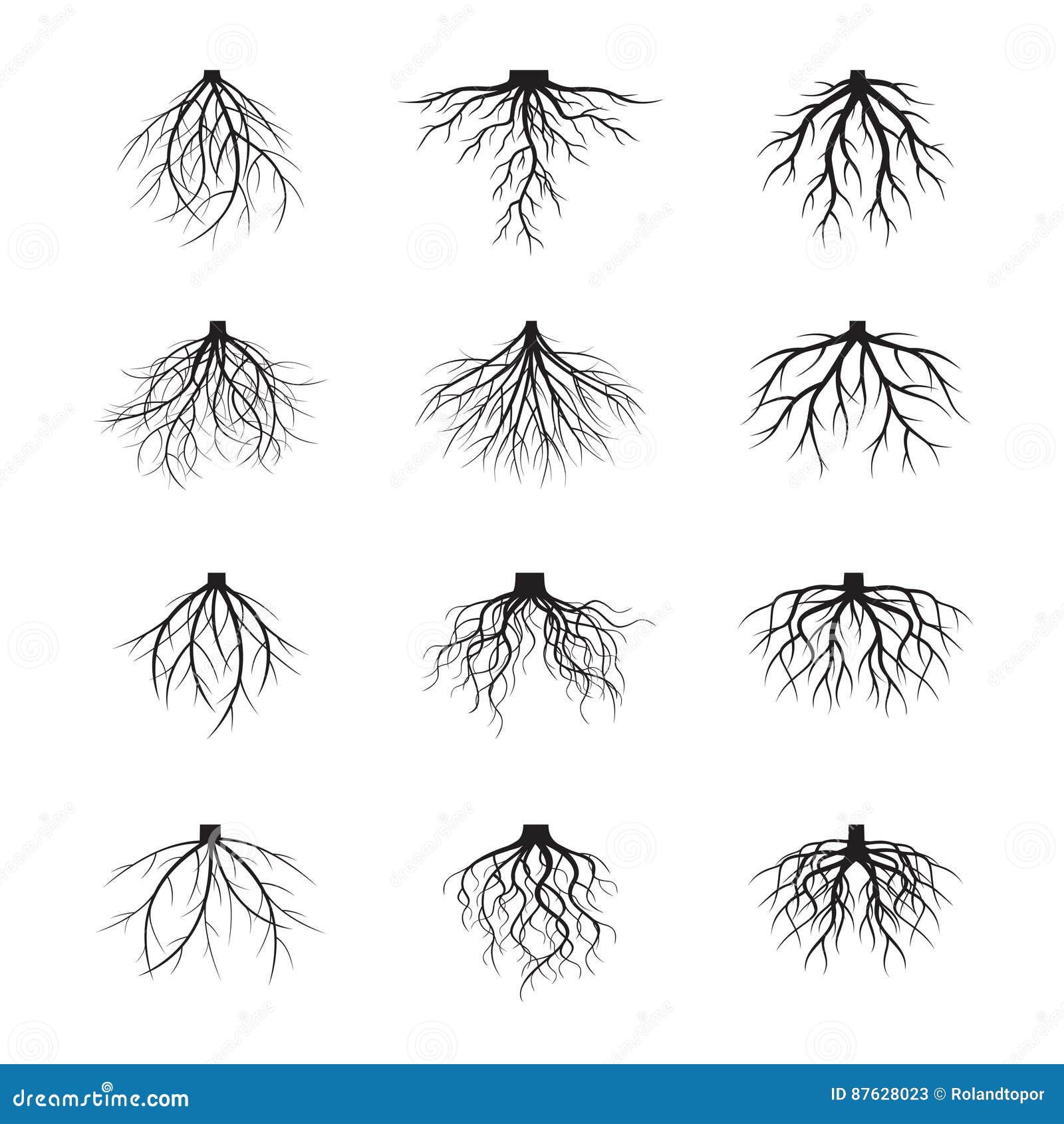Set of Black Roots. stock vector. Illustration of design - 87628023