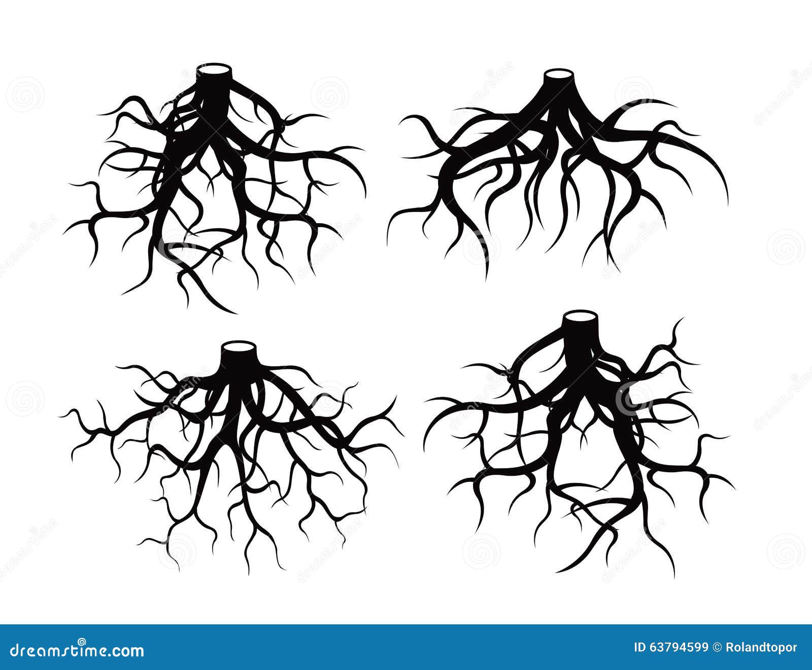 Set of Black Roots. Vector Illustration Stock Illustration ...