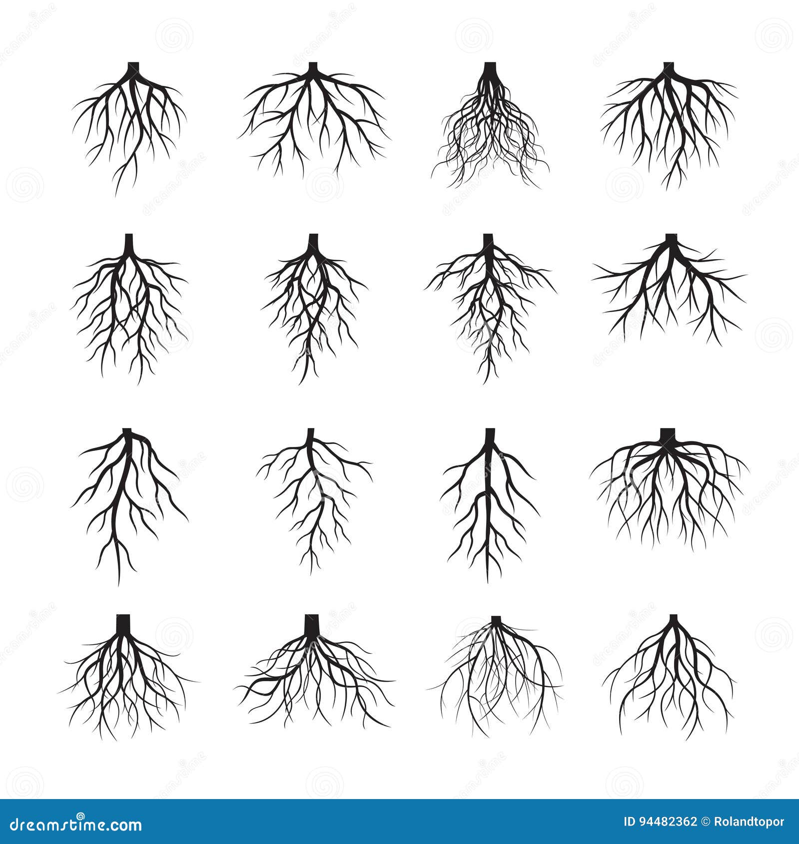 Set of Black Roots. Vector Illustration and Graphic Elements. Stock ...