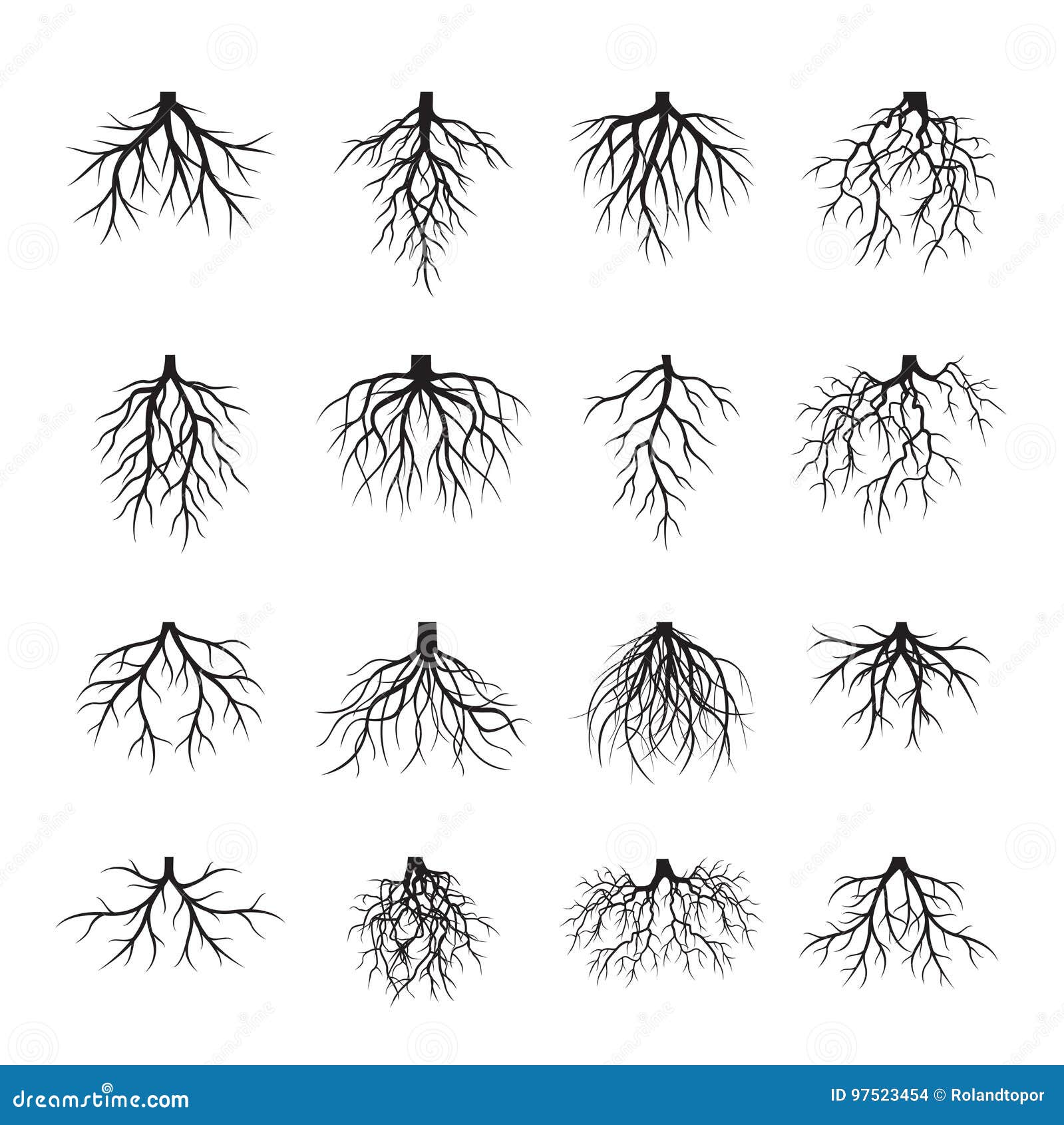 Set of Black Roots. Vector Illustration. Stock Vector - Illustration of ...