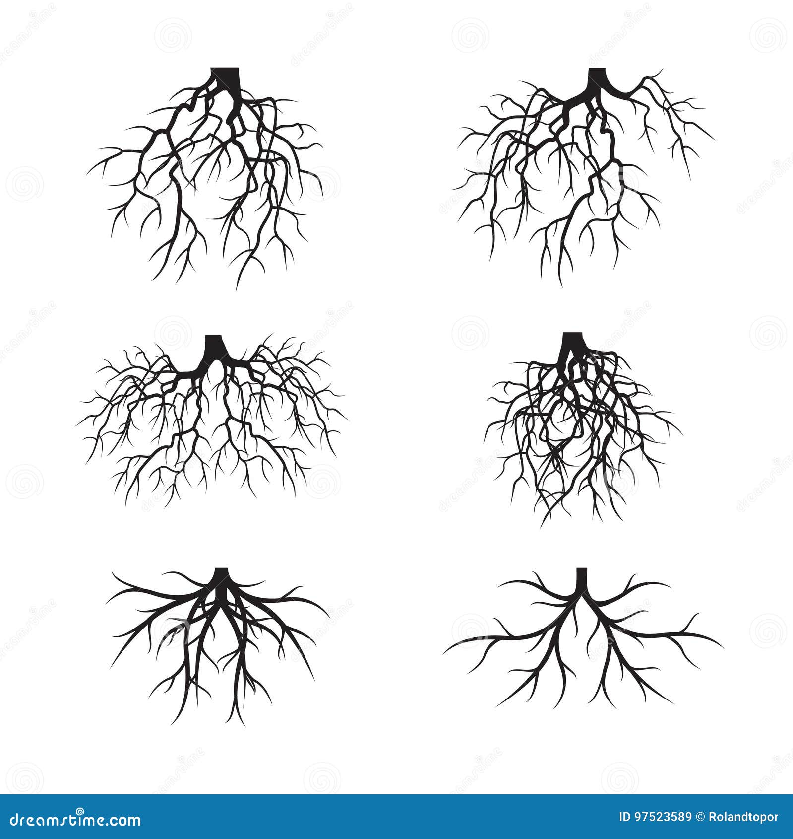 Set of Black Roots. Vector Illustration and Graphic Elements. Stock ...