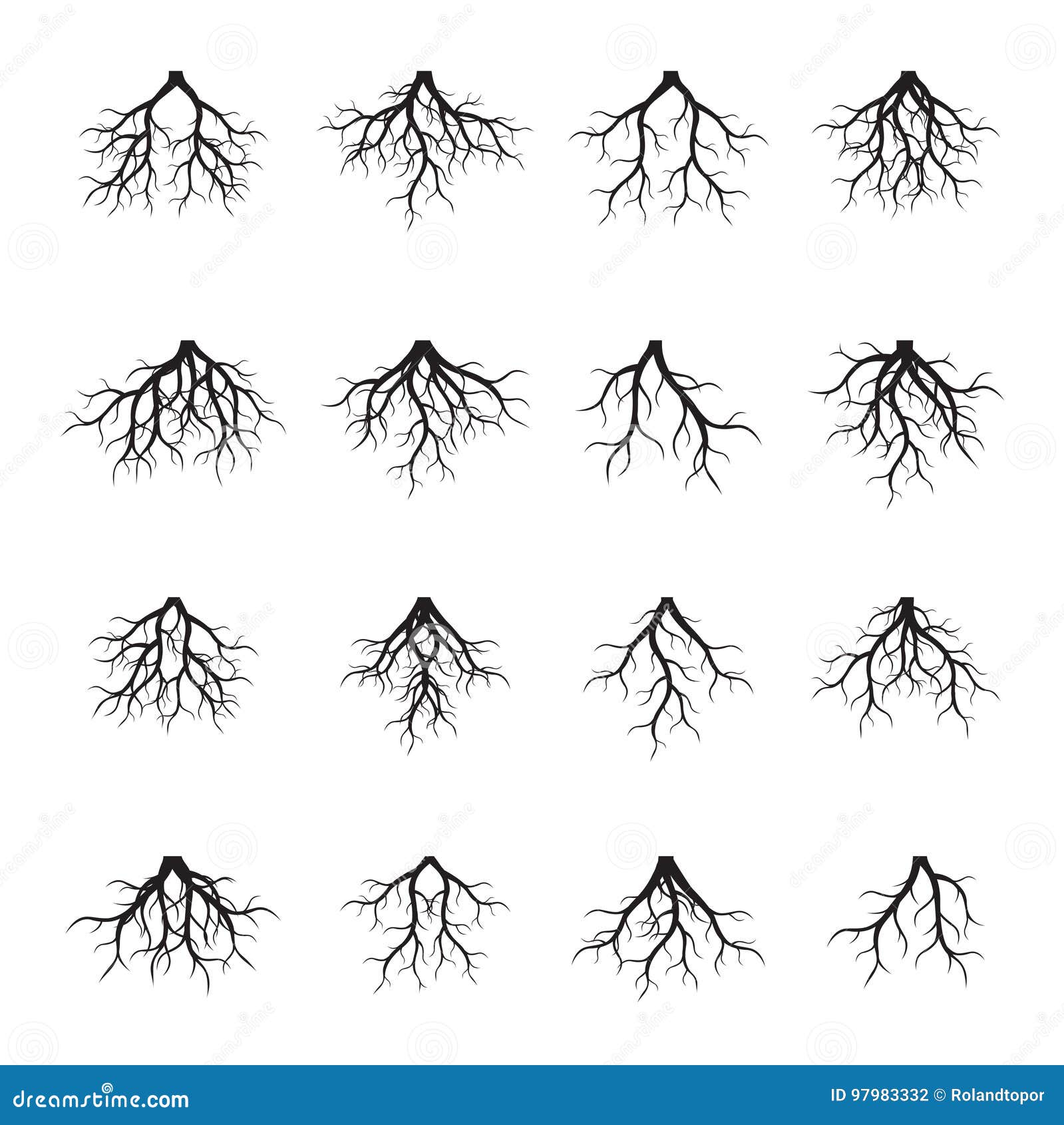 Set of Black Roots. Vector Illustration. Stock Illustration ...