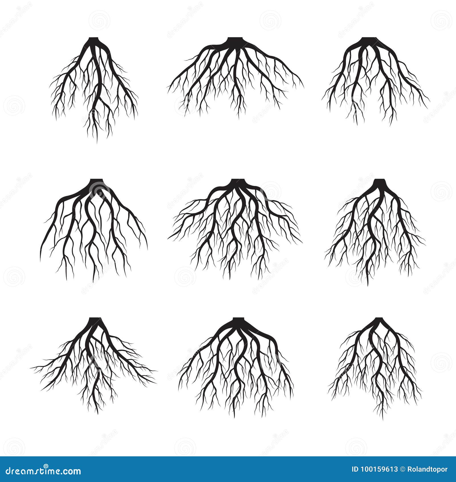 Set of Black Roots. Vector Illustration. Stock Illustration ...