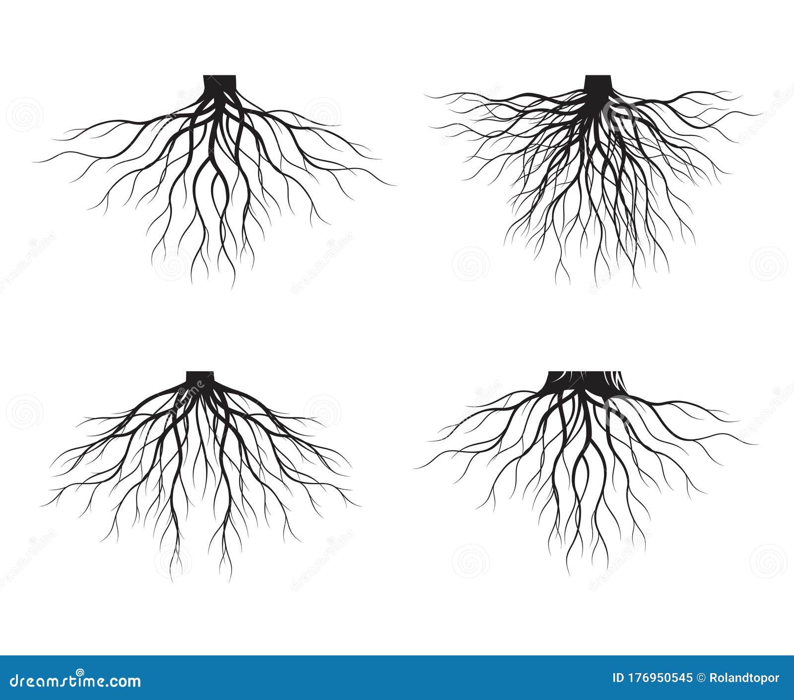 Black Shape of Tree and Roots. Vector Illustration Stock Illustration ...