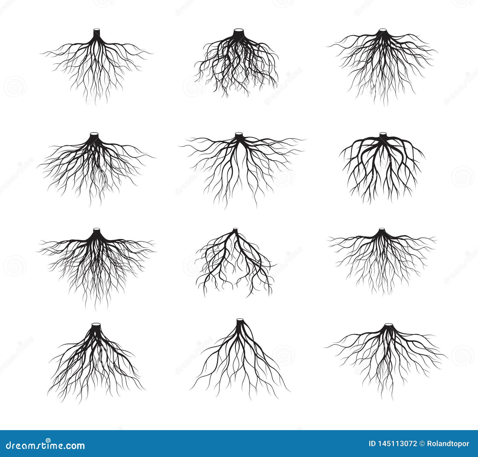 Set of Black Tree Roots. Vector Illustration Stock Vector ...