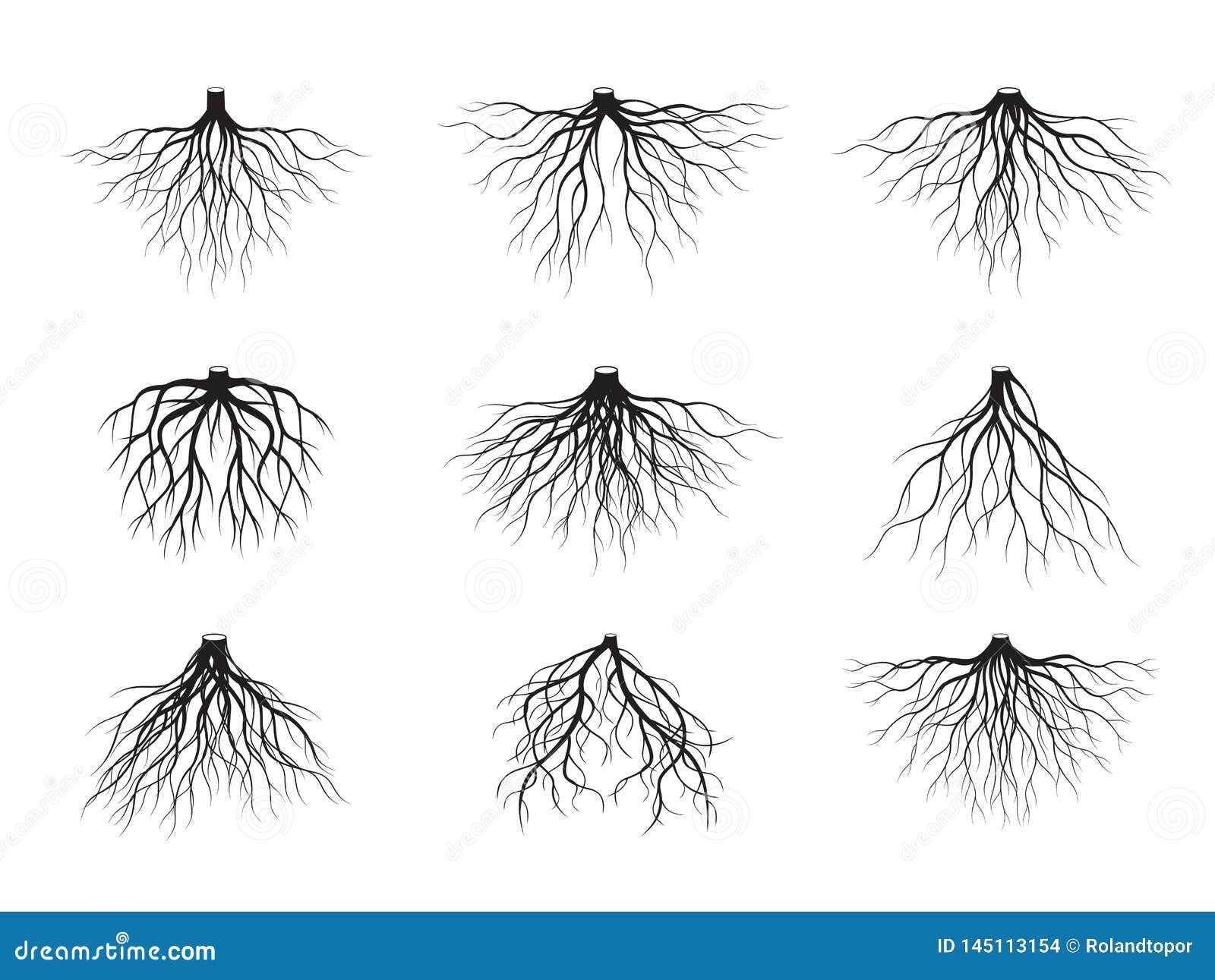 Set of Black Tree Roots. Vector Illustration Stock Illustration ...