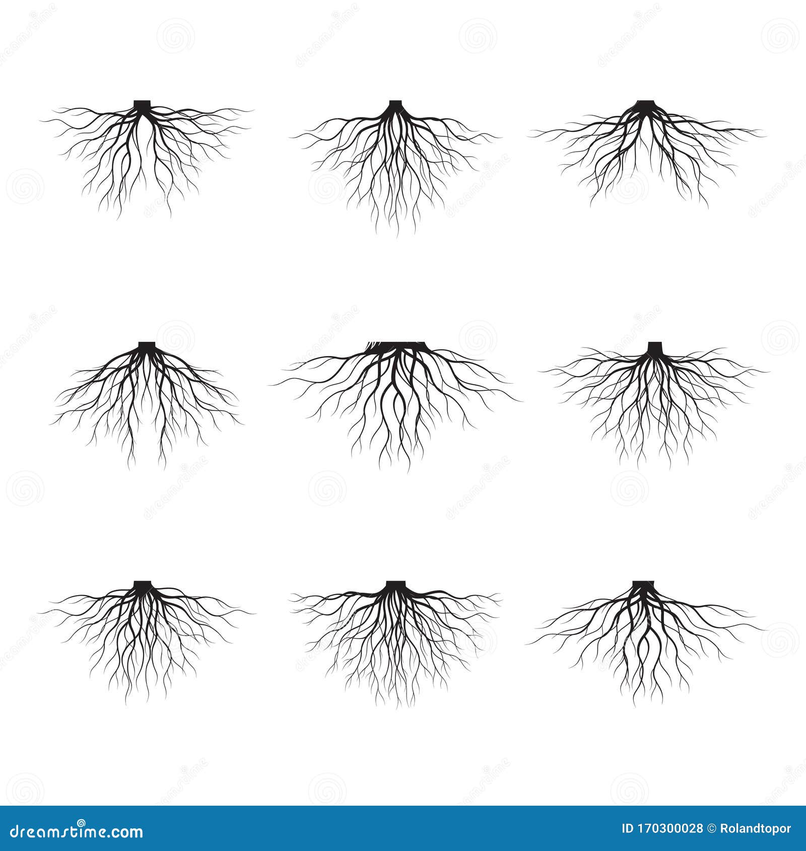 Set of Black Tree Roots. Vector Illustration Stock Vector ...