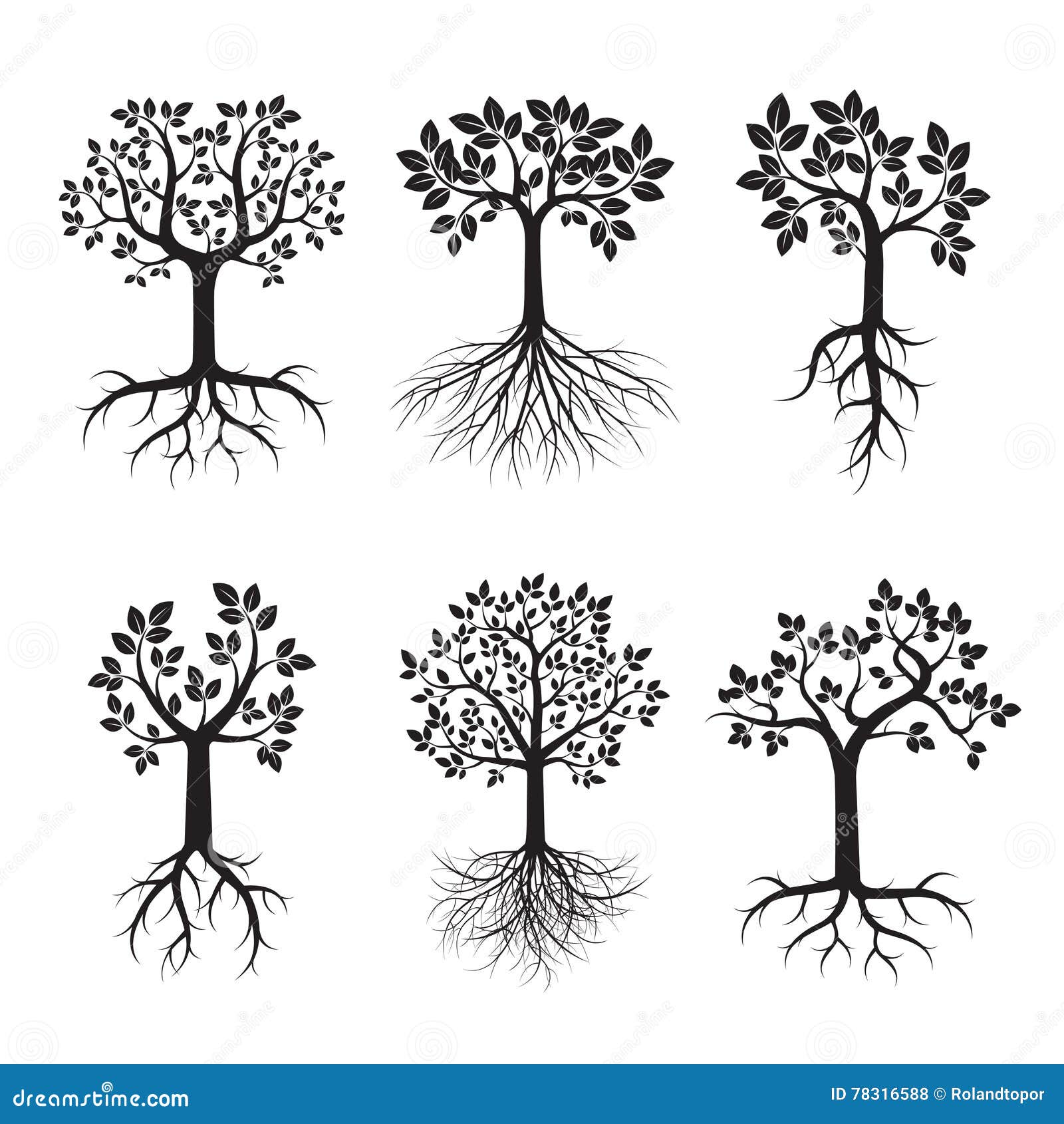 Set of Black Trees and Roots. Vector Illustration. Stock Illustration ...