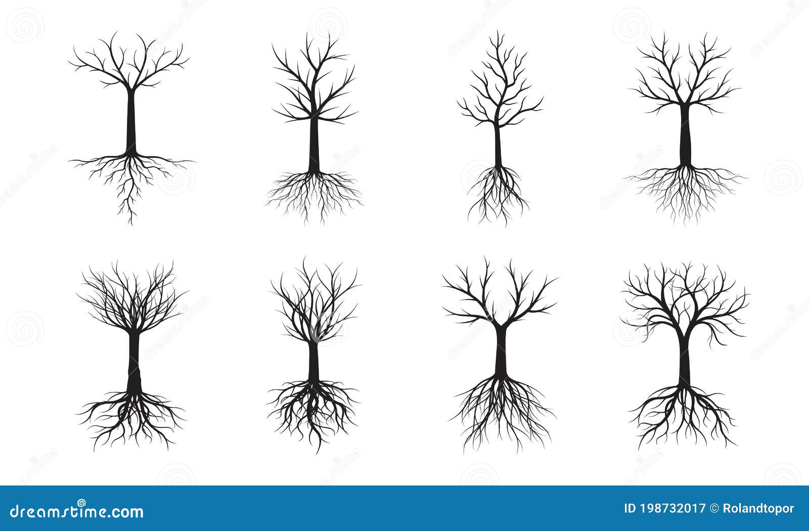 Set Black Trees with Roots. Vector Outline Illustration Stock Vector ...