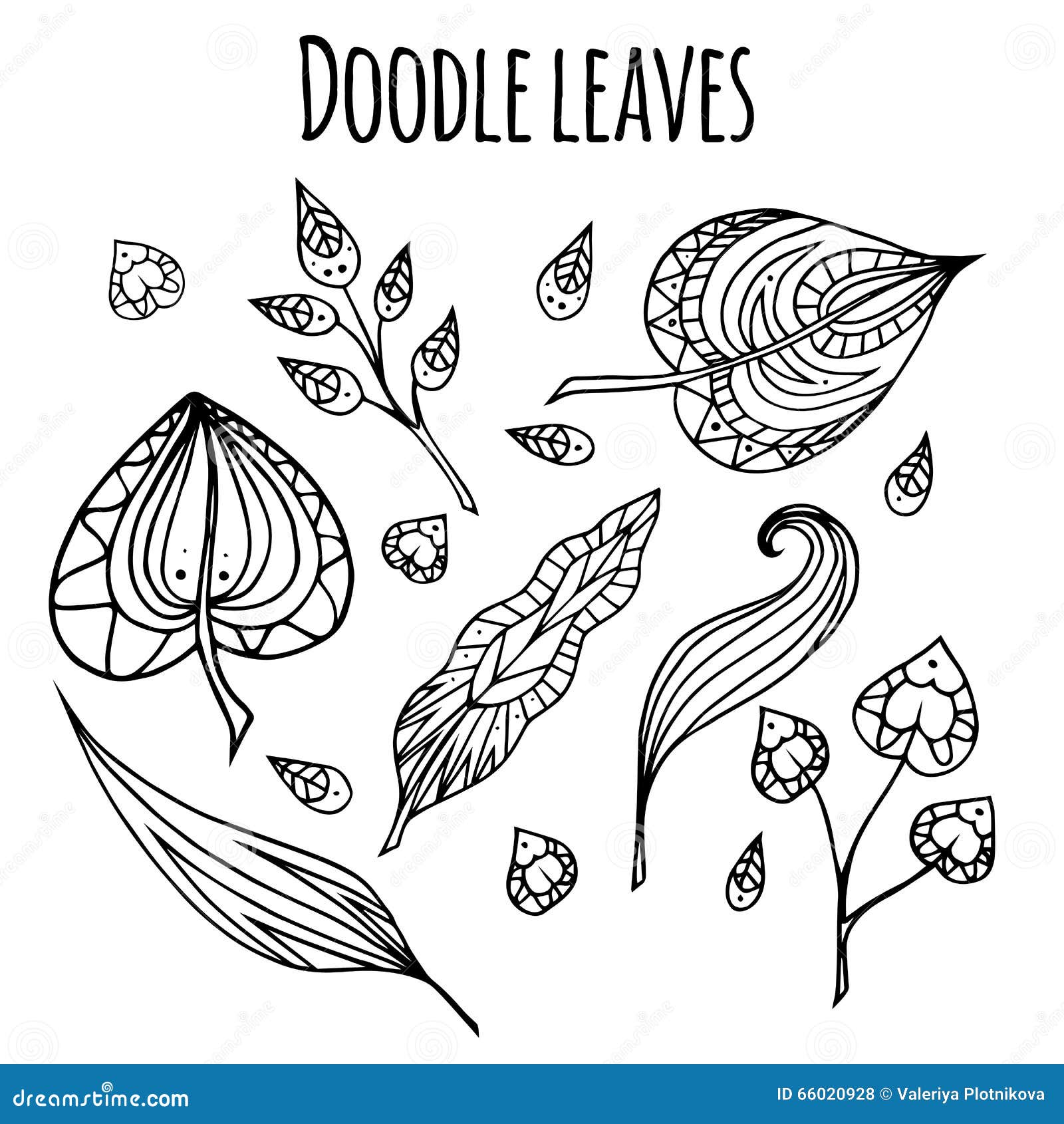 A Set Of Doodle Leaves Of Various Shapes And Sizes, An Outline Leaf ...