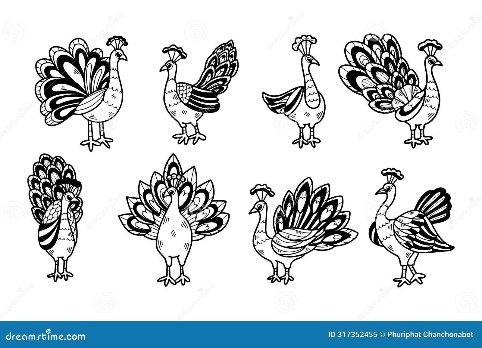 A Set of Black and White Drawings of Peacocks Stock Illustration ...
