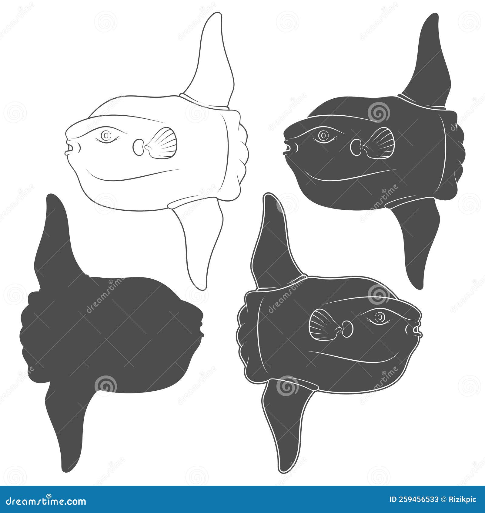 Moonfish. Black Hand Drawn Realistic Outline Vector Image ...