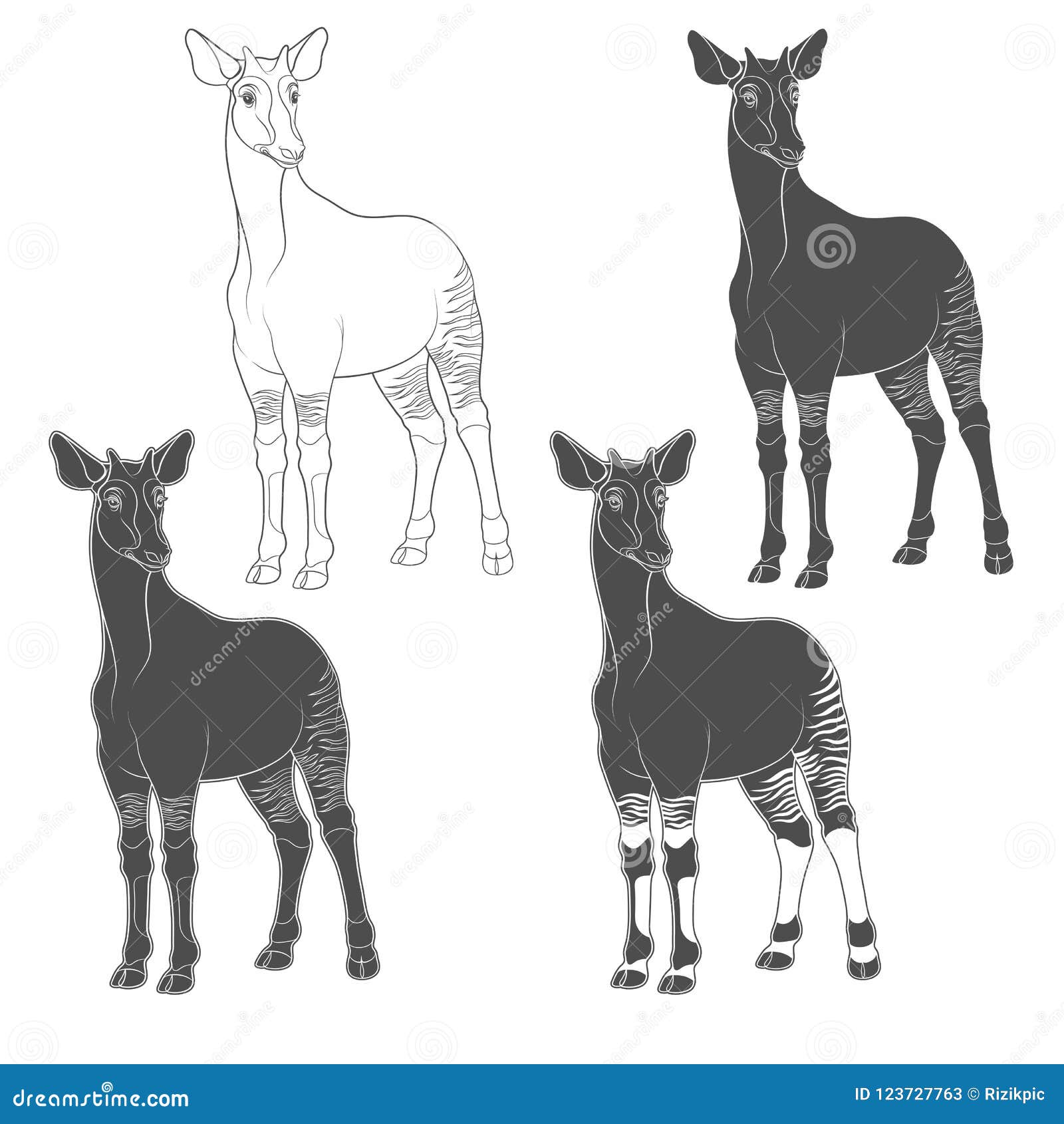Set of Black and White Images with Okapi. Isolated Vector Objects ...