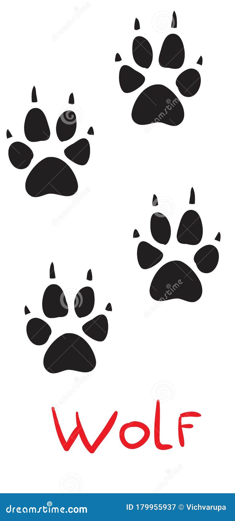 Wolf Dog Tracks Comparison Cartoon Vector | CartoonDealer.com #136987897
